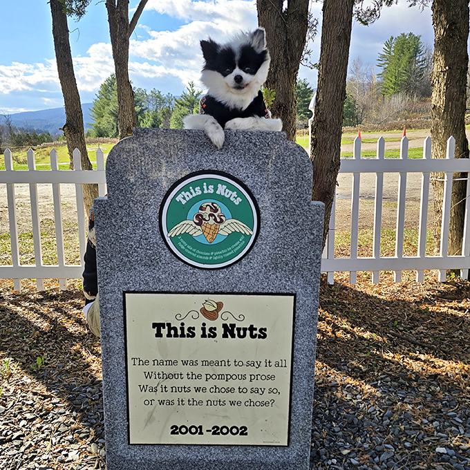 This adorable pup seems to appreciate the irony of "This is Nuts"&mdash;a flavor whose name was meant to say it all without pompous prose.