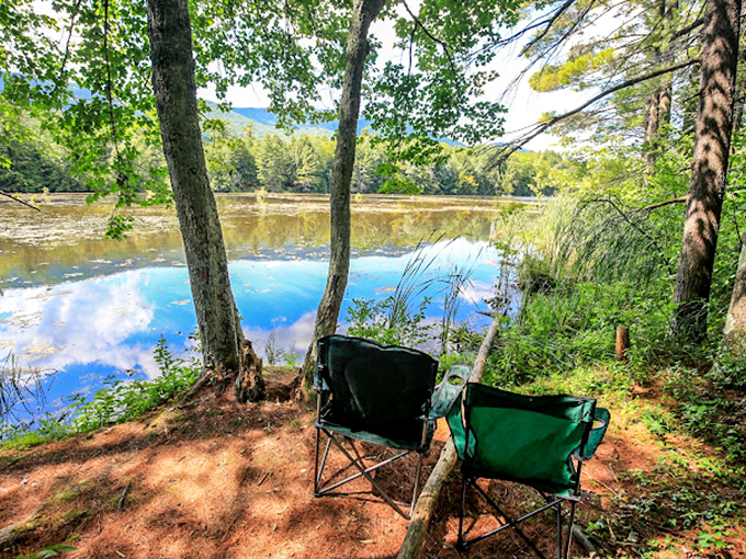 The perfect spot for contemplation&mdash;two chairs await beneath whispering trees, overlooking nature's mirror.