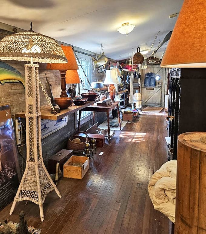 Warm amber light filters through handcrafted lampshades, creating the perfect ambiance for treasure hunters to lose themselves in literary worlds.