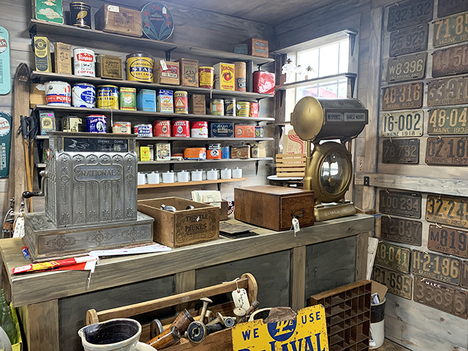 A nostalgic collection of vintage license plates and antique store fixtures transforms ordinary walls into a timeline of American road trips.