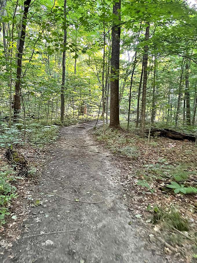 Trails that lead to wherever you need to be mentally. Follow this path and find either profound life insights or just a really good spot for a sandwich break.