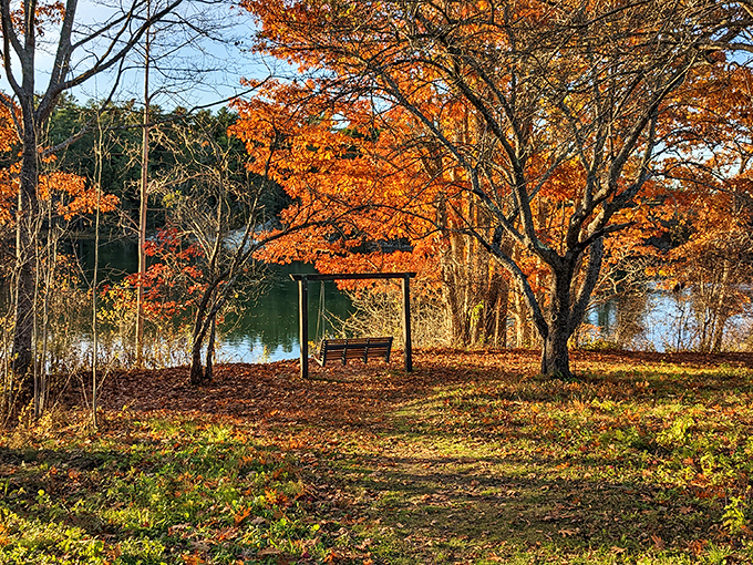 Fall foliage creates nature's perfect frame for this riverside swing &ndash; Maine's version of a meditation retreat.