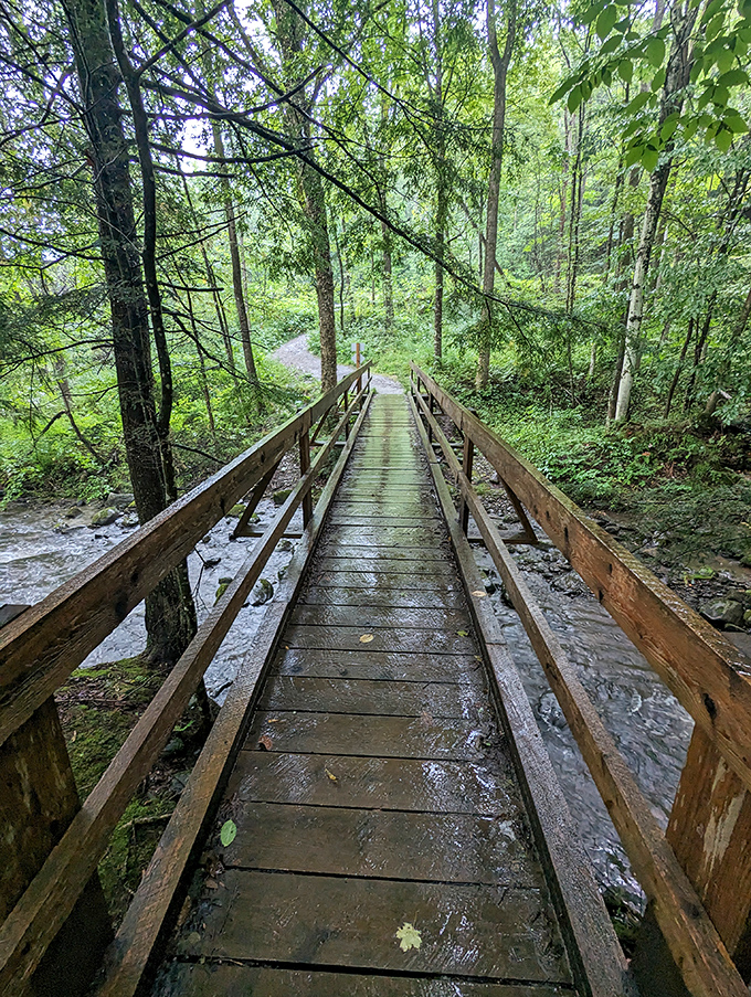 This wooden footbridge isn't just crossing a stream &ndash; it's inviting you into a storybook setting where worries dissolve with each creaking step.
