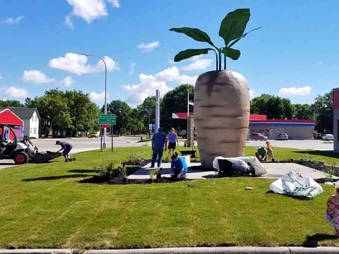 Community volunteers work together planting flowers around the monument, demonstrating the ongoing care and pride that Halstad residents invest in maintaining their beloved attraction for all to enjoy.