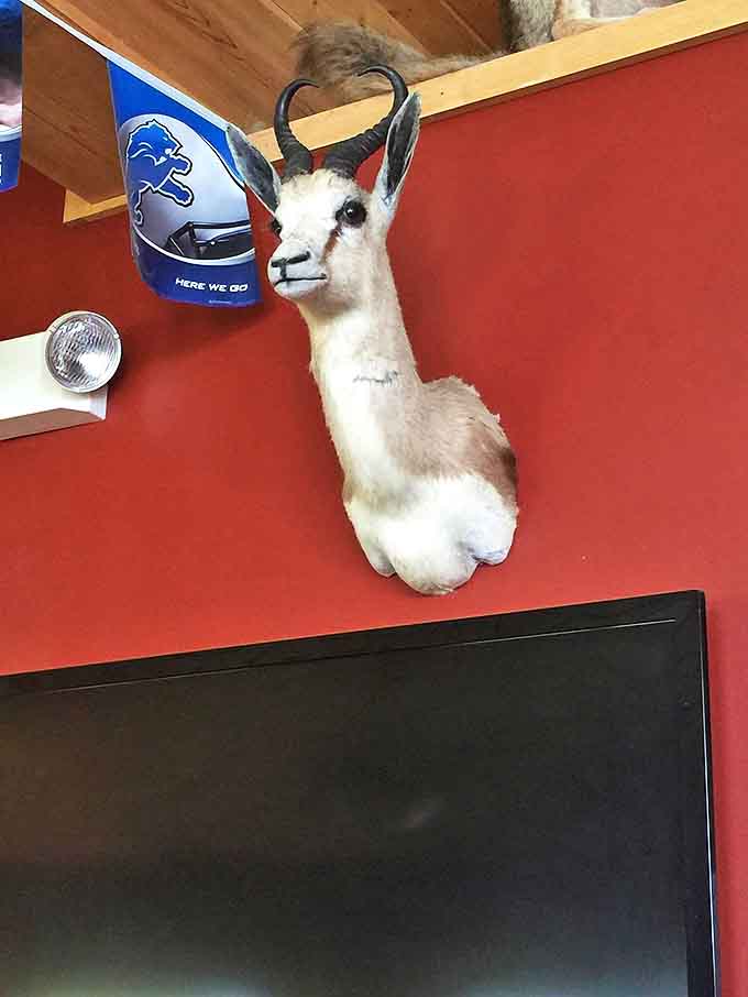 This springbok mount keeps watchful eye over diners – just one of many exotic creatures adding character to this unique Upper Peninsula eatery.