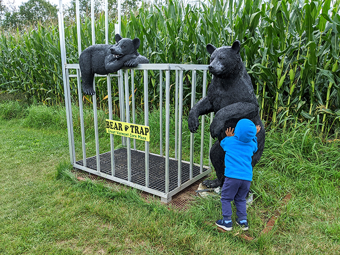 "I'm bearly containing my excitement!" The bear trap display provides a perfect photo opportunity for families who've survived the maze's twists and turns.