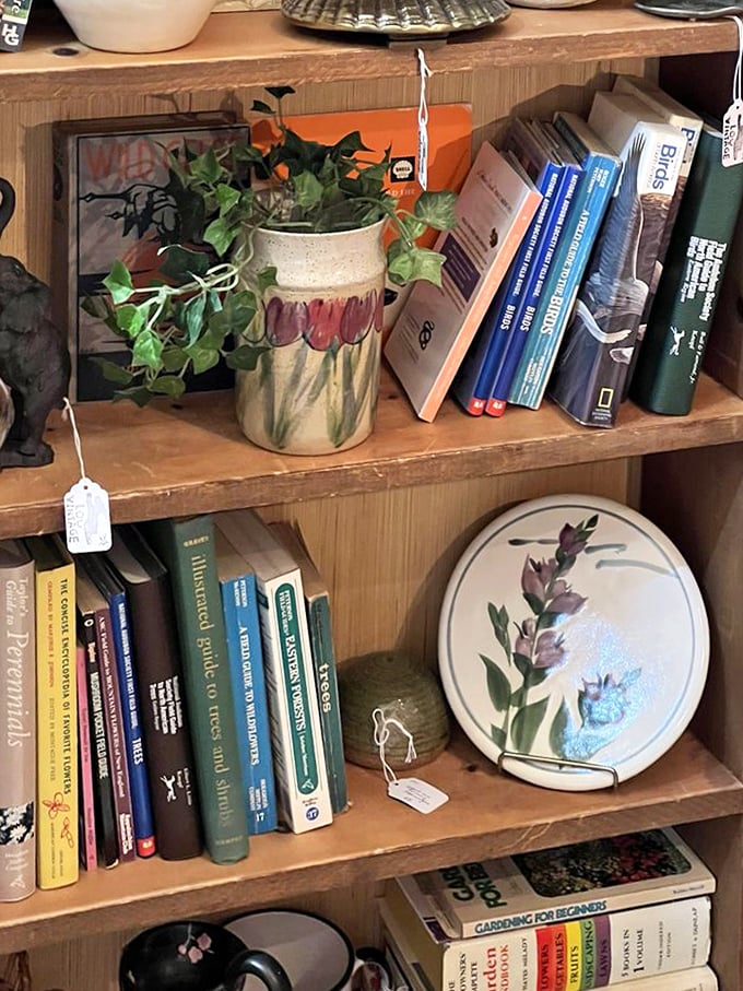 Well-loved books on gardening and other topics line wooden shelves, their weathered spines promising wisdom from another time.