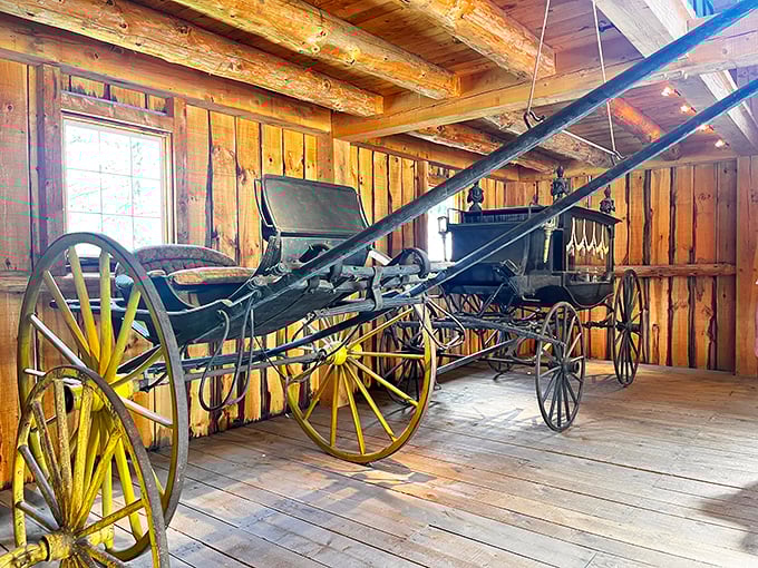 This elegant black carriage reminds us that transportation once required horsepower of the most literal kind.