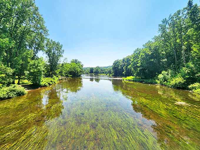 Crystal clear waters reveal a riverbed of smooth stones, nature's mosaic crafted over centuries of patient flow.