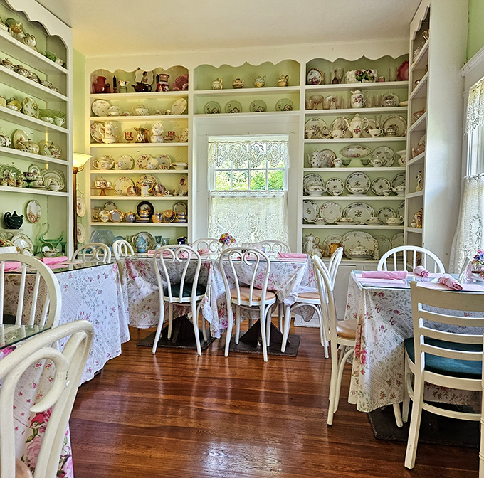 Walls lined with vintage china create a museum-like backdrop for dining, each piece telling its own story of gatherings past.