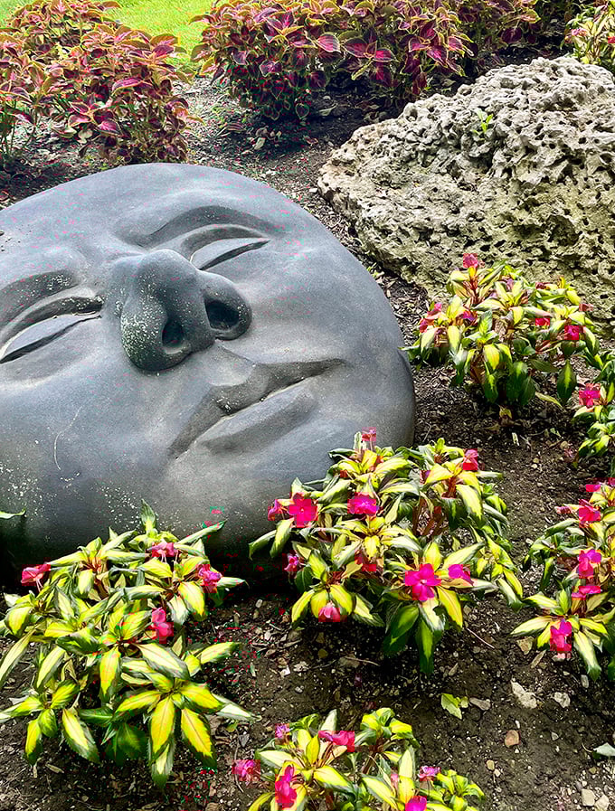 When gardens dream, they dream of this face &ndash; serene, slightly smug, and perfectly at home among the flowers.
