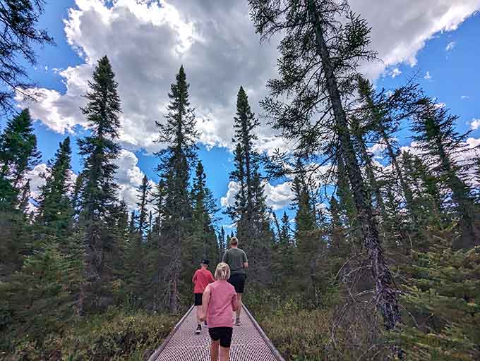 Sharing this boardwalk experience creates memories that last longer than any souvenir from a gift shop ever could.