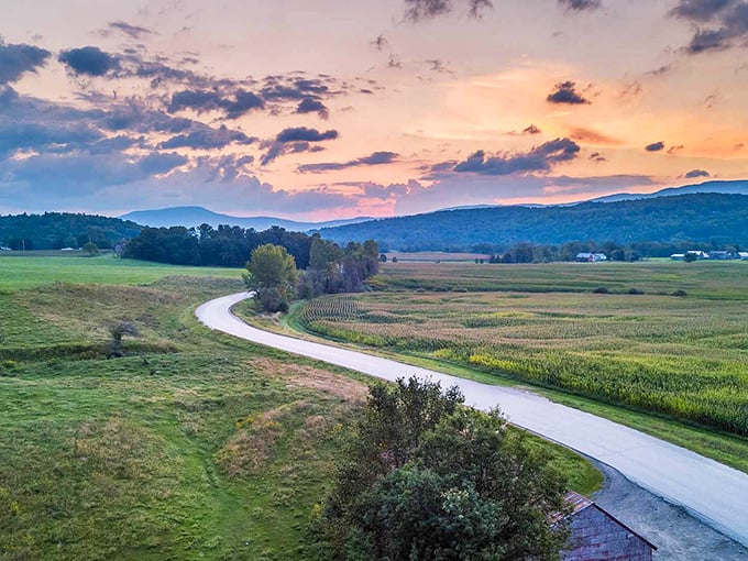 Sunset paints the valley in golden hues, transforming ordinary farm fields into extraordinary landscapes worthy of a museum wall.