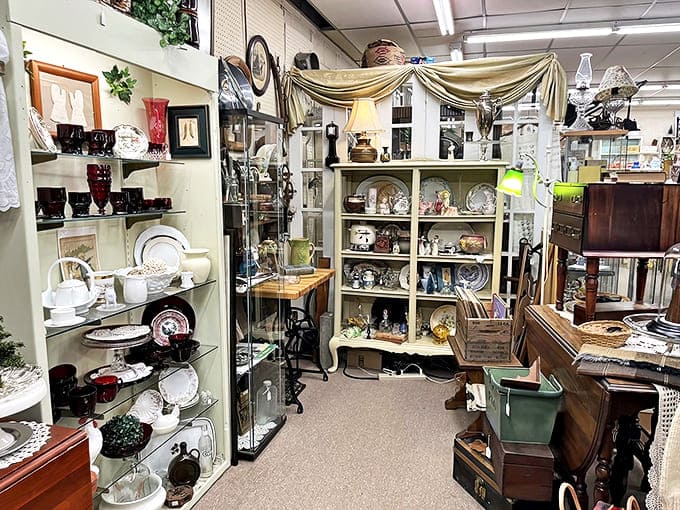 Everyday objects transformed by time into collectibles &ndash; vintage dishes, glassware, and ceramics arranged with an eye for both history and beauty.