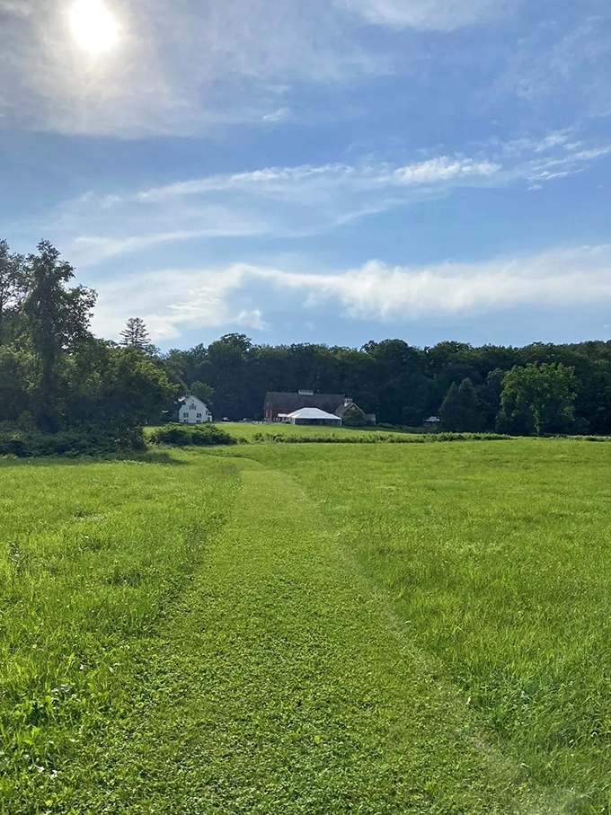 A grassy path leads across open fields toward classic Vermont farmhouses, inviting a peaceful countryside stroll.