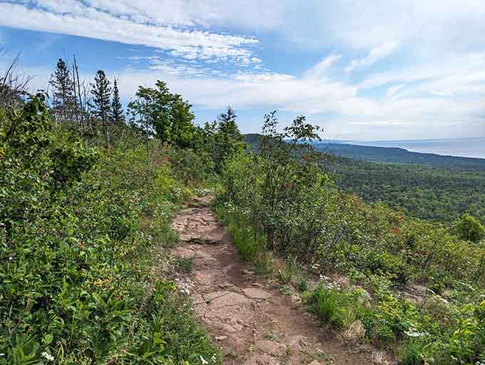 The path less traveled looks pretty good from up here, winding through wilderness that's been putting on this show for millennia.