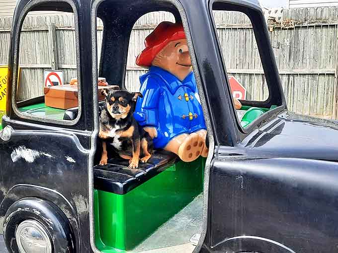 Even Paddington Bear makes an appearance, proving that beloved characters from our childhoods eventually end up in antique stores, which feels both right and slightly sad.