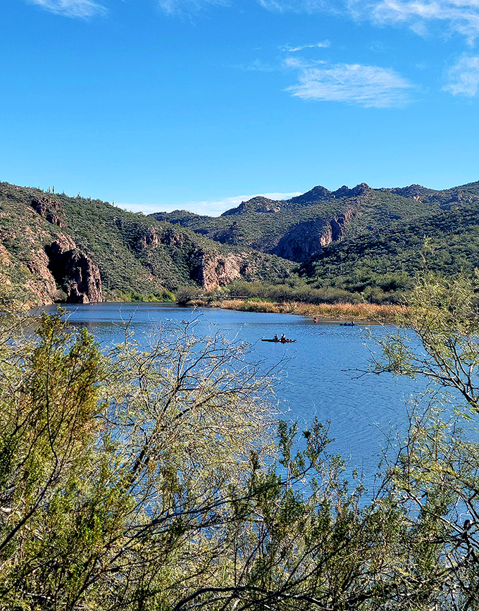 Saguaro sentinels stand guard over a tranquil desert lake, where water creates an oasis of life in the arid landscape.