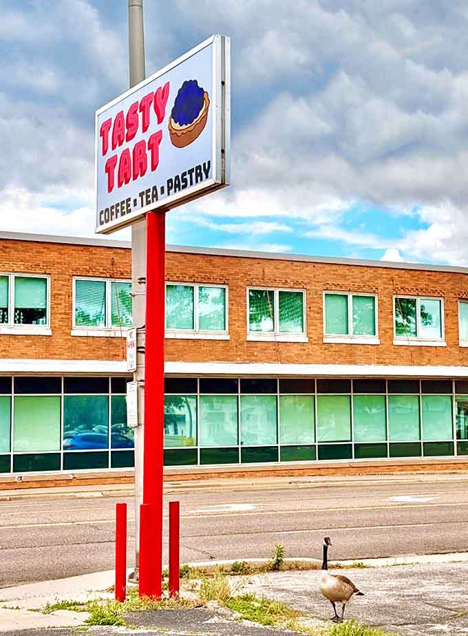 Even the local wildlife seems drawn to Tasty Tart's sign &ndash; proof that good taste transcends species in Champaign, Illinois.