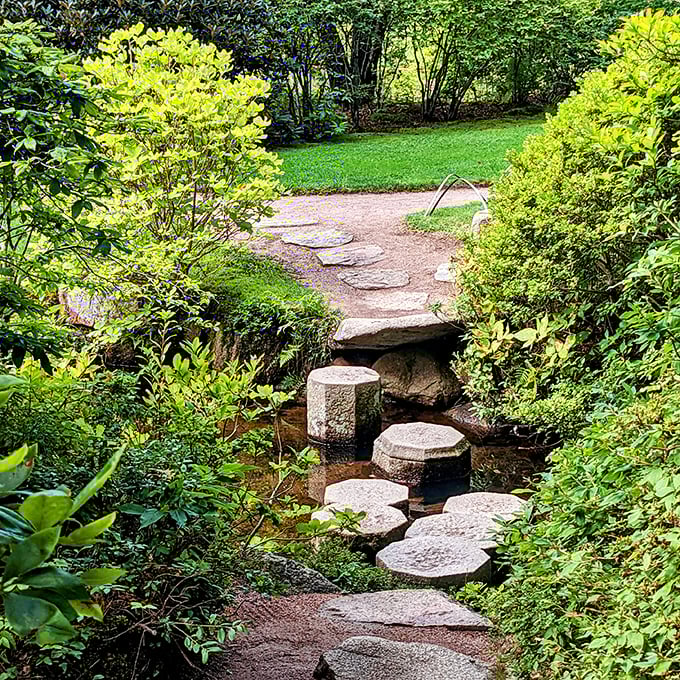 The garden's stone pathways invite mindful walking&mdash;each step a deliberate choice, each stone placed with purpose. Nature's stairway to tranquility.