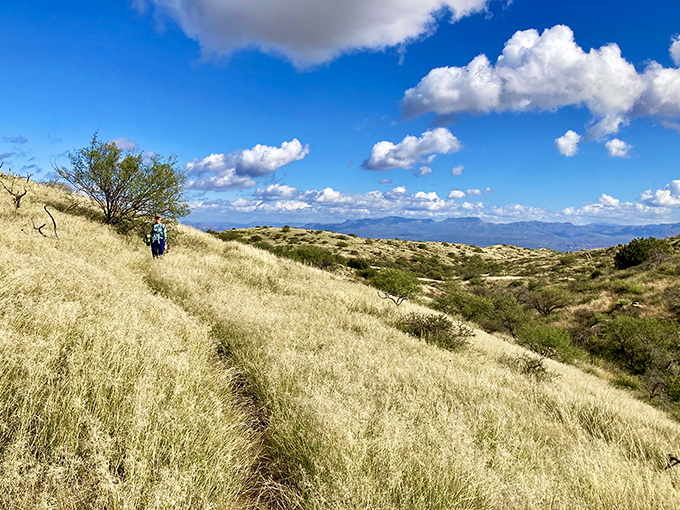Golden grasses wave like a landlocked ocean, with hikers creating ripples across this stunning high desert landscape.