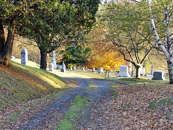 Fall's golden carpet lines this winding cemetery path, nature's way of softening the journey between monuments to lives long past.