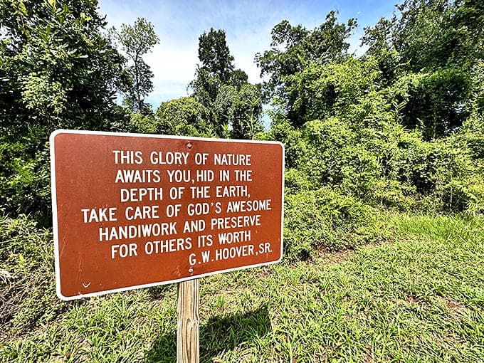 Words of wisdom greet park visitors, reminding us that nature's masterpieces deserve our protection and respect for generations to come.