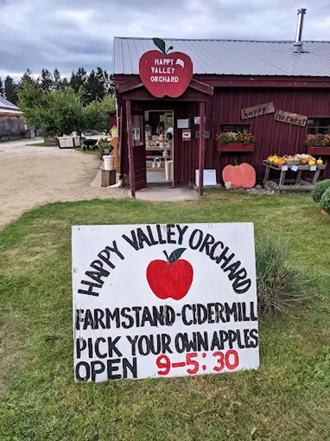 The welcoming entrance sign promises three essential Vermont experiences: pick-your-own apples, fresh cider, and that charming farmstand atmosphere.