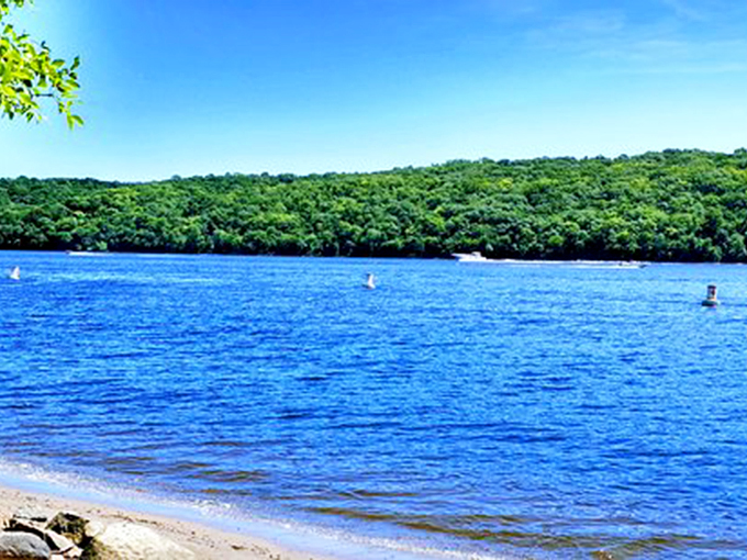 Prairie, forest, and beach in one spot? It's like nature's version of a three-course meal!