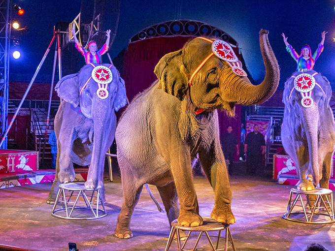 Closed for now, but the show must go on... in 2025! Start practicing your juggling skills &ndash; you've got time.