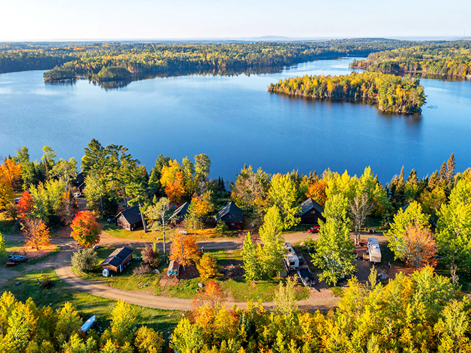 Where the wolves roam free (ish)! Ely's International Wolf Center lets you howl with the pack.