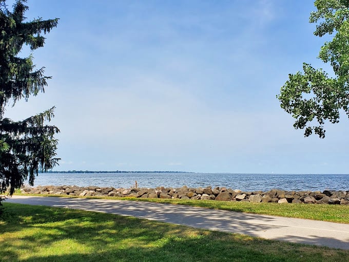 A tree-lined shore meets placid waters. It's like nature's own version of a five-star resort!