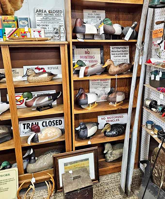 Hand-carved duck decoys that transcended their hunting origins to become folk art – each one capturing the essence of Michigan's waterfowl heritage.