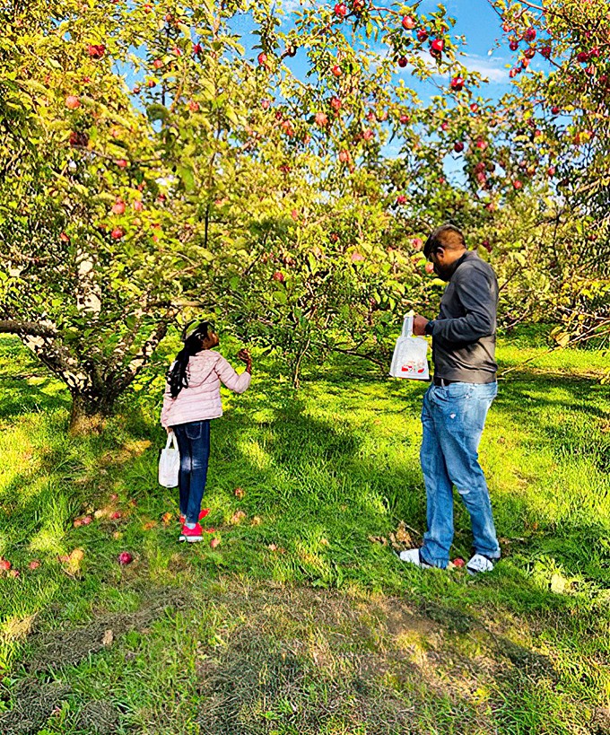 Nature's candy store is open for business! Reach for the stars&mdash;or in this case, the juiciest apples you've ever laid eyes on.