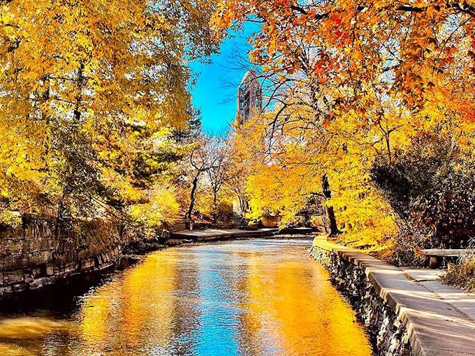 Autumn's paintbrush transforms the Riverwalk into a golden gallery. Every step crunches with possibility, like walking through nature's own art exhibition. 