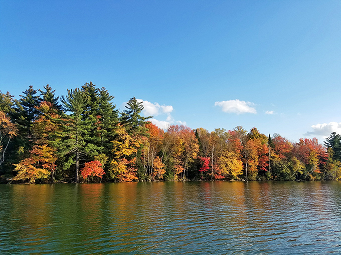 Nature showing off its color palette – Lake Carmi in autumn looks like it's been painted by an artist with an unlimited budget.