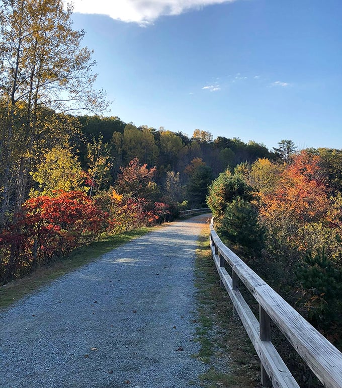 The Belfast Rail Trail winds through autumn foliage, offering a peaceful path for walkers, joggers, and cyclists to commune with nature.