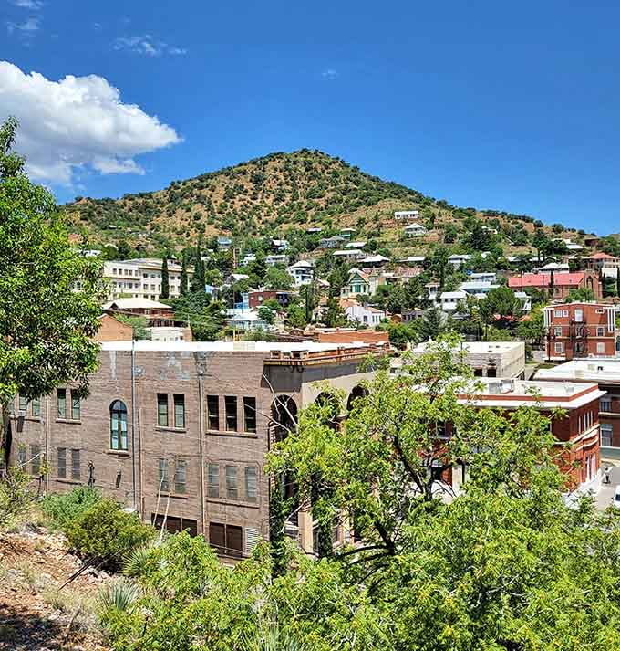 Houses climb the slopes in cheerful defiance of gravity and common sense, creating a neighborhood where your daily walk definitely counts as a workout session.