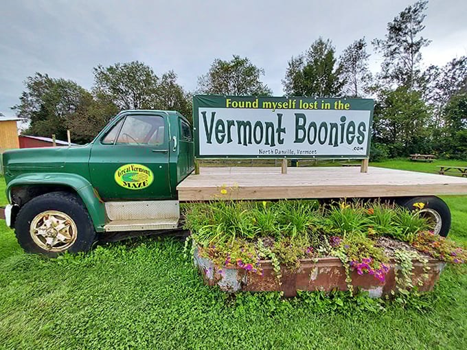 Found myself lost in the Vermont Boonies &ndash; both a cute photo op and an accurate description of your current geographical situation.