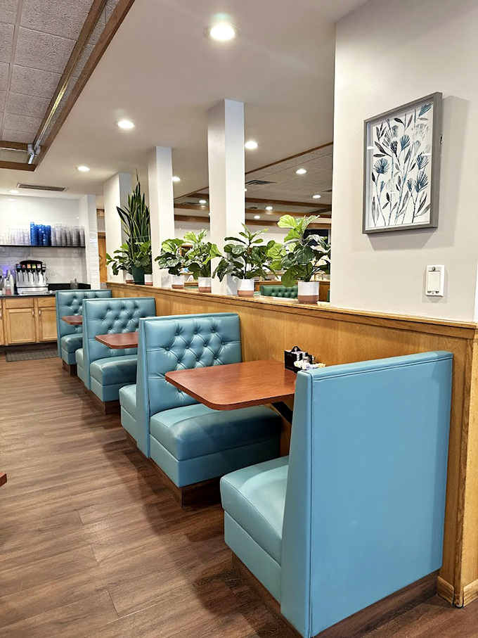 Tufted turquoise booths and potted plants create an oasis where breakfast dreams come true.