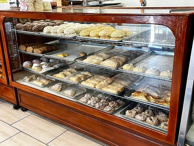 Each tray in the display case tells a story of tradition, skill, and the simple pleasure of perfectly executed Mexican baking classics.