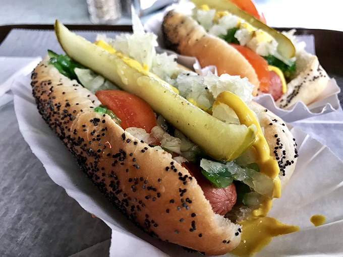 The Chicago Dog: a garden party in a bun! It's like someone shrunk down a farmer's market and nestled it in bread.