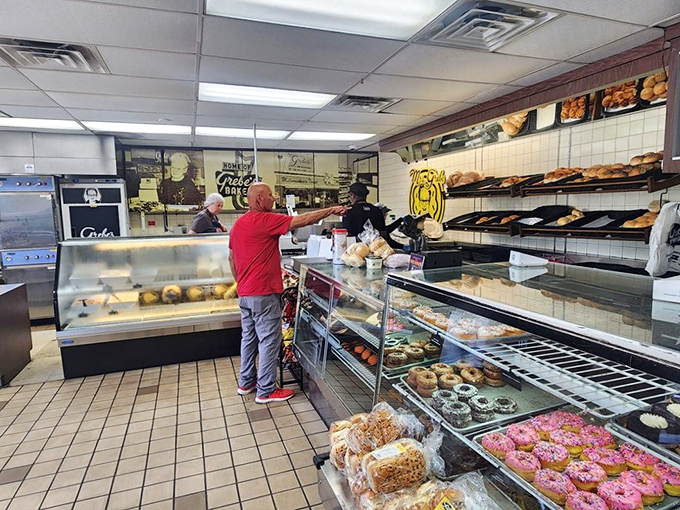 The bakery counter &ndash; where dreams come true and diets go to die, staffed by pastry professionals who know your order by heart.