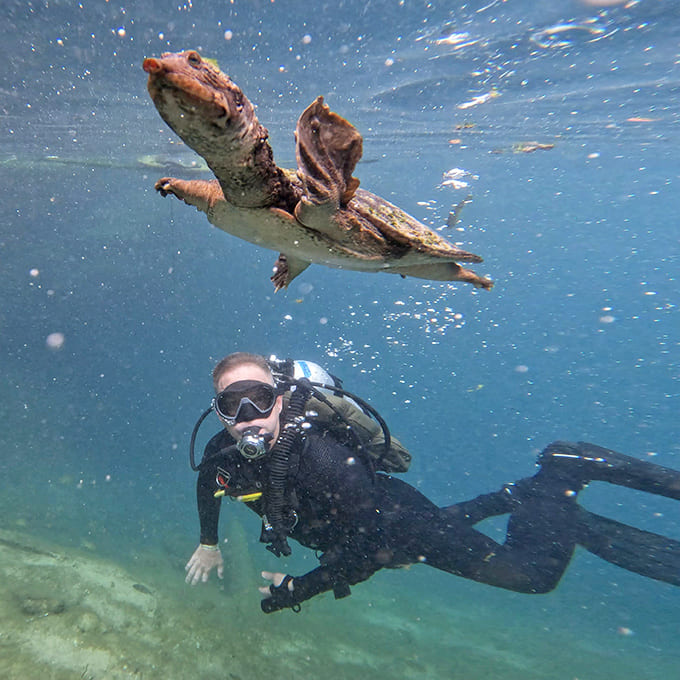 An unexpected underwater encounter &ndash; a turtle glides effortlessly past a diver, two species sharing a moment of mutual curiosity.