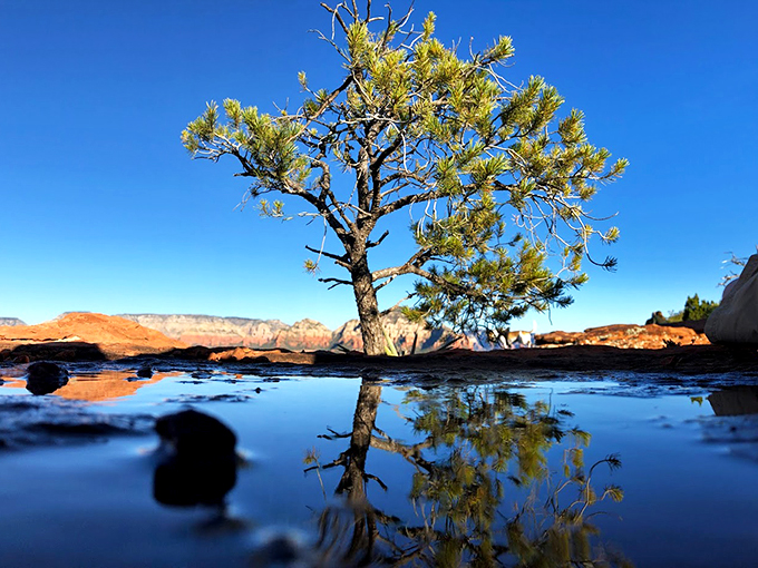 Where the earth wears its heart on its sleeve. These stratified cliffs are like nature's own layer cake, each tier more delicious than the last.