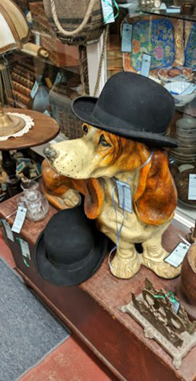 This dapper dog statue sporting a bowler hat brings whimsy and character to the shop's eclectic collection.