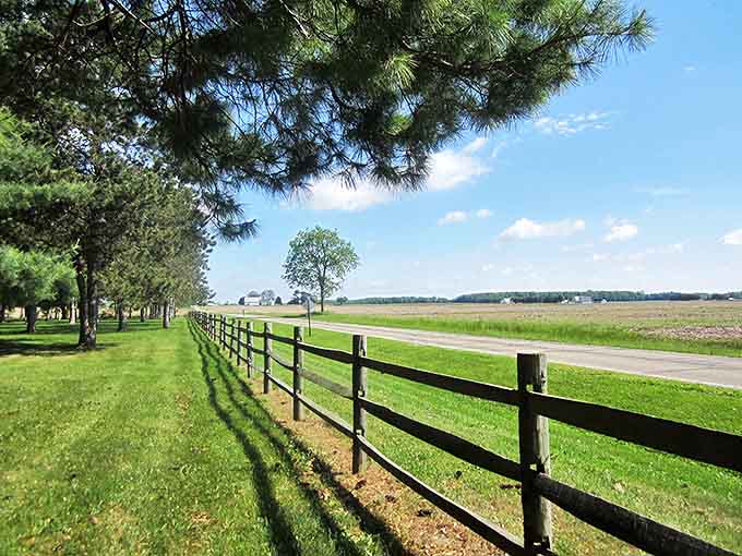 Farm Fence: Neat fence lines stretch toward the horizon, marking boundaries with the same care farmers have shown this land for centuries.