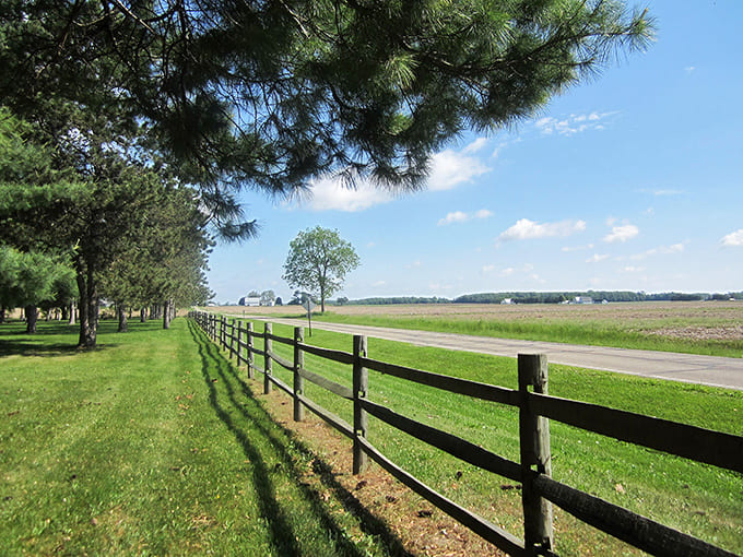 Split-rail fences and endless fields remind you that some places still understand the value of wide-open spaces and agricultural heritage.
