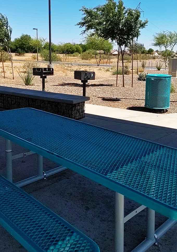Comfortable seating areas with shade let parents supervise without melting into puddles under the relentless Arizona sun.