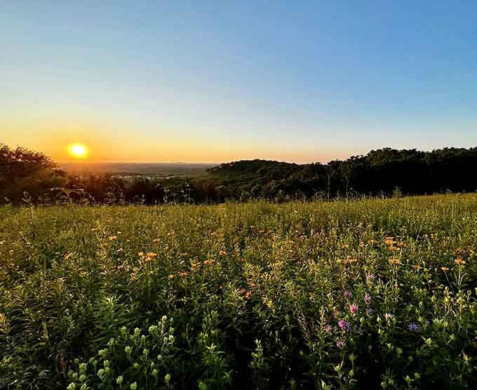 Sunset views that make you forgive Illinois for all those gray winter days and pothole-filled roads.